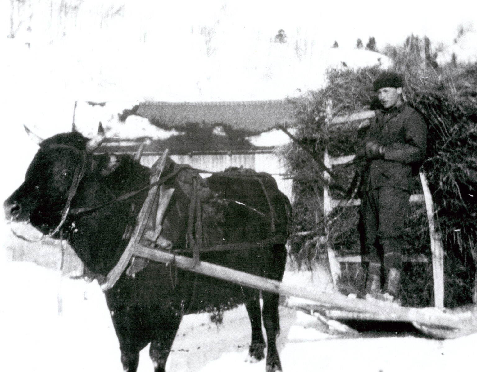 Patrimoine-Photo | Municipalité de St-Fulgence