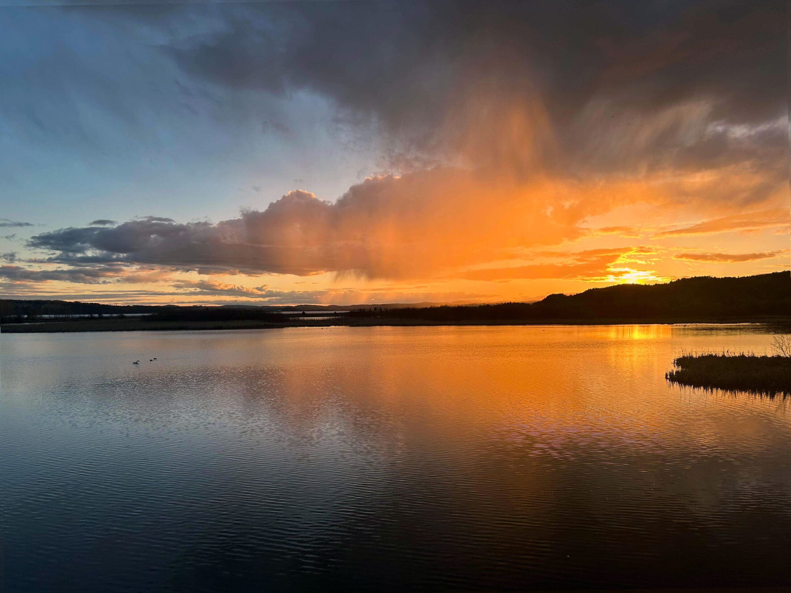 Avis publics | Municipalité de St-Fulgence